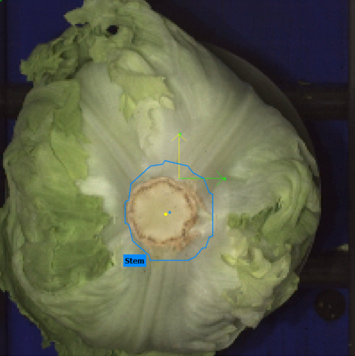 Getting to the Core of Brassica Preparation - Scorpion Vision
